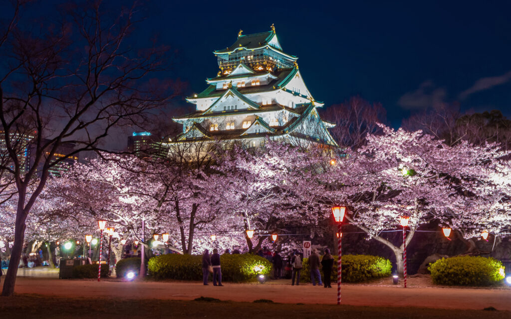 Sakura Viewing In Japan