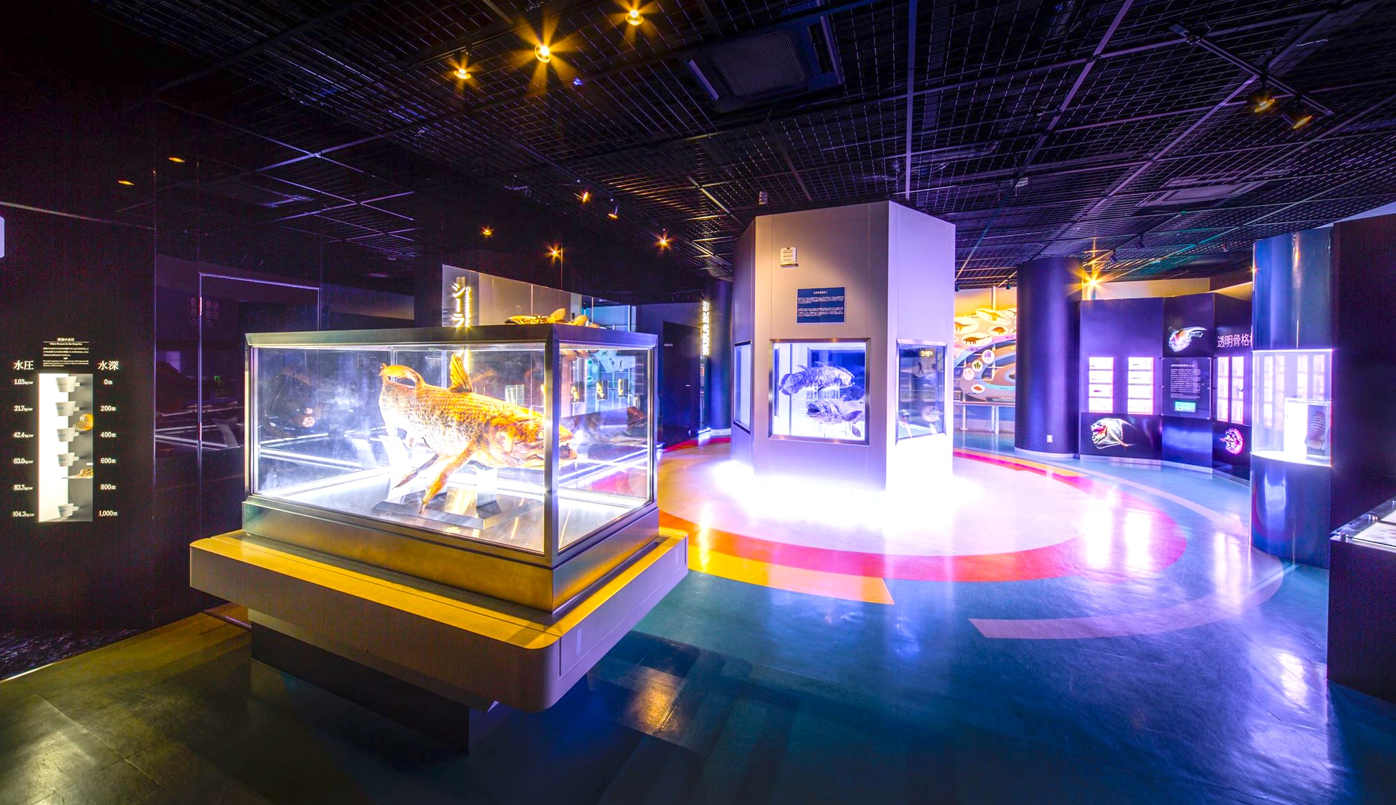 Numazu Deep Sea Aquarium & Coelacanth Museum - GaijinPot Travel