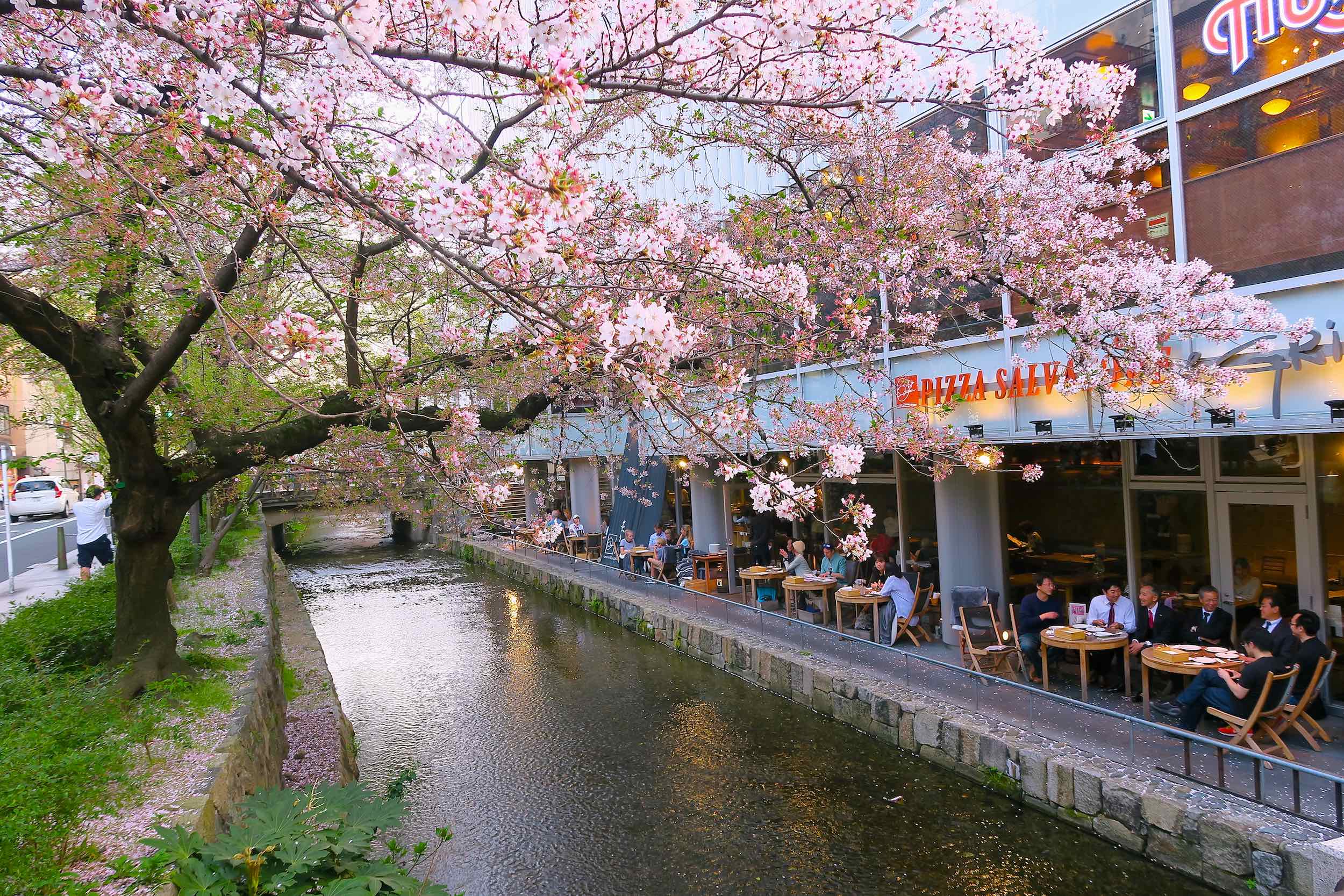 Kiyamachi Dori (Street) - GaijinPot Travel