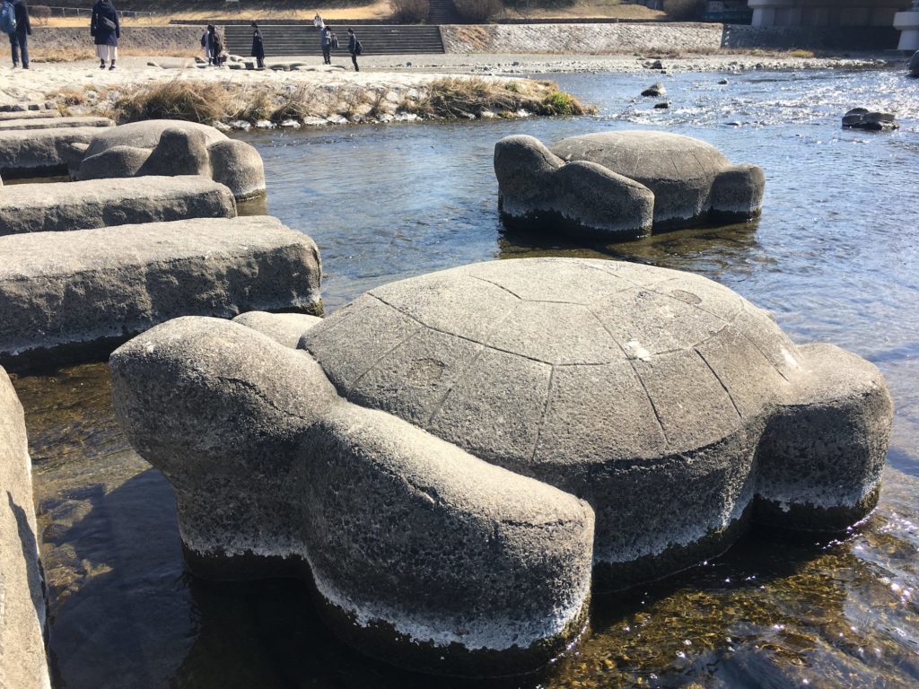 Turtle Stepping Stones of Kamo River - GaijinPot Travel