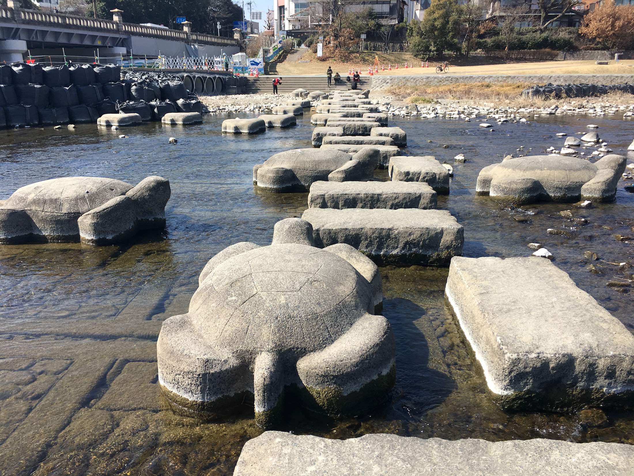 Turtle Stepping Stones of Kamo River - GaijinPot Travel