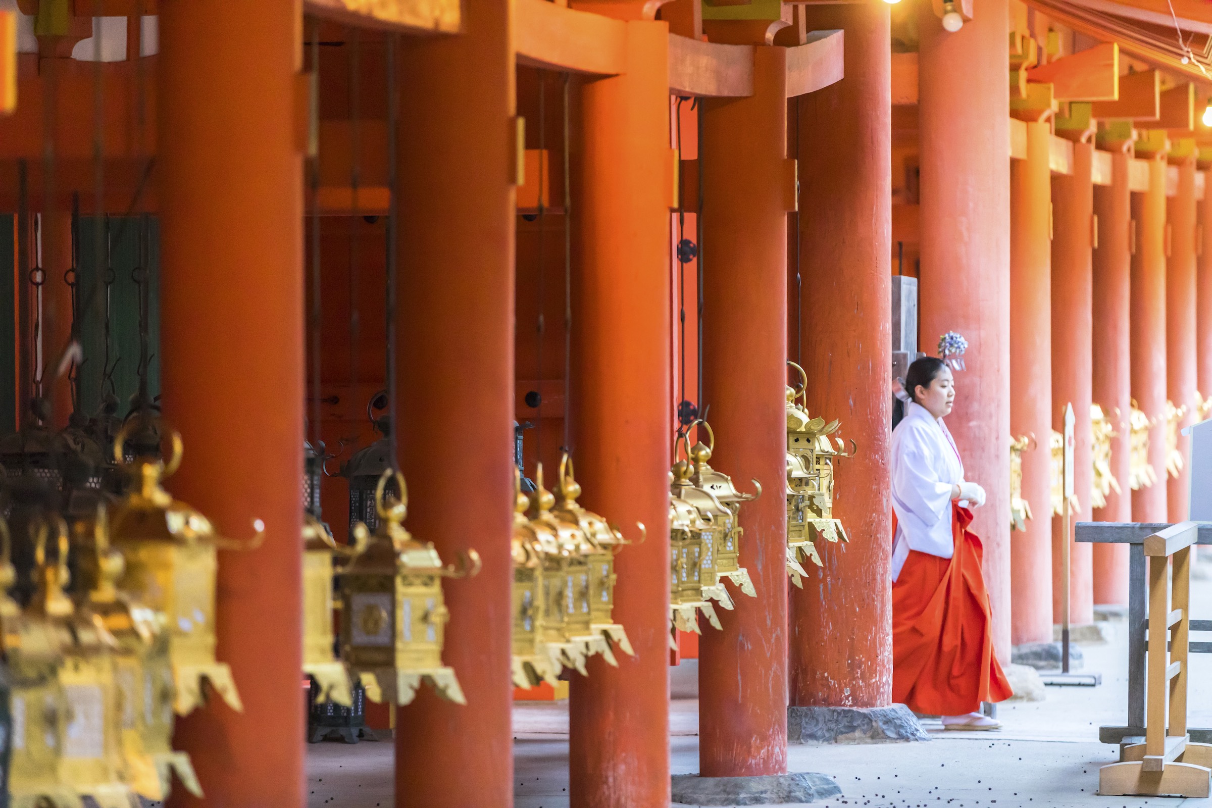 Kasuga Taisha - GaijinPot Travel