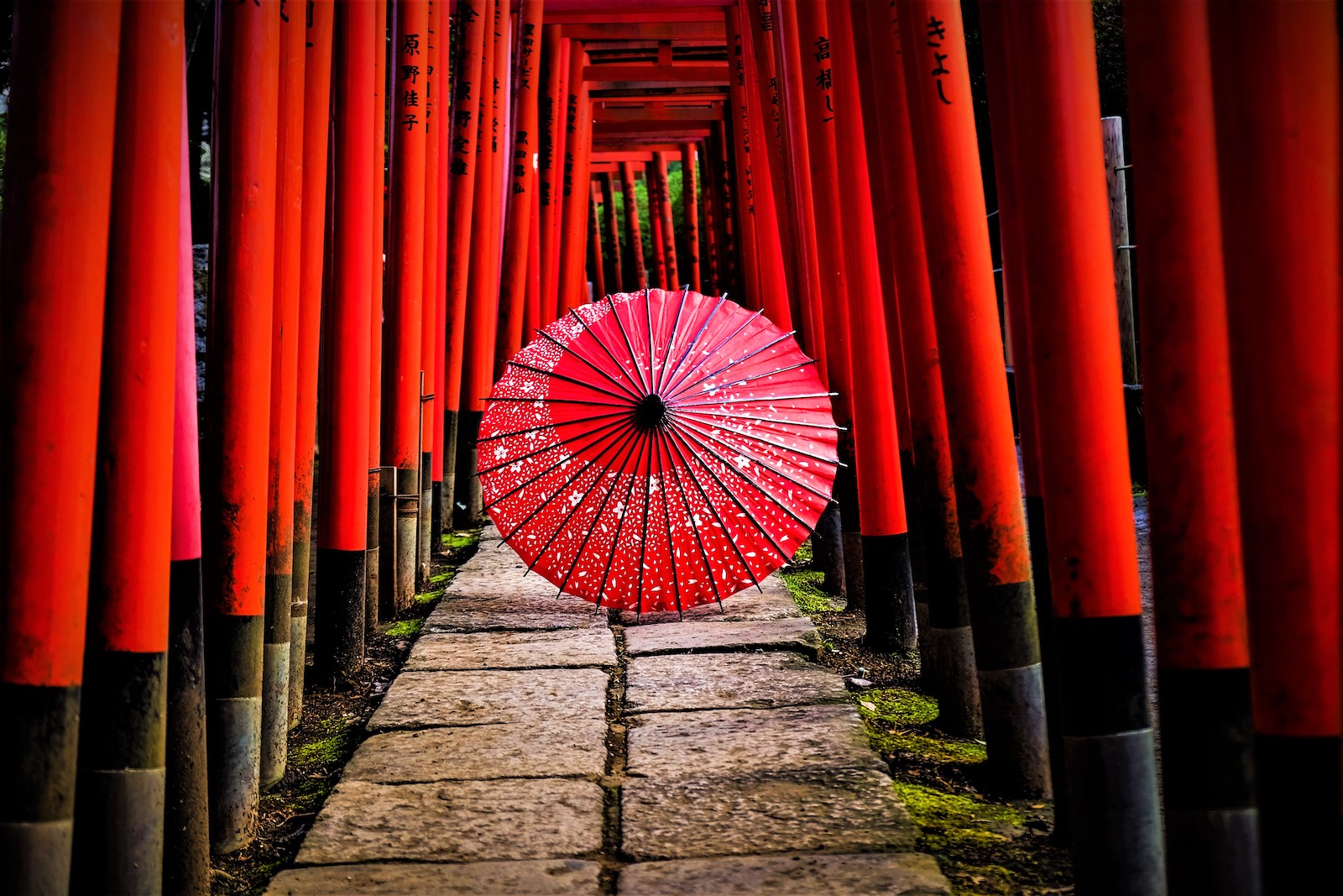 Nezu Shrine - GaijinPot Travel