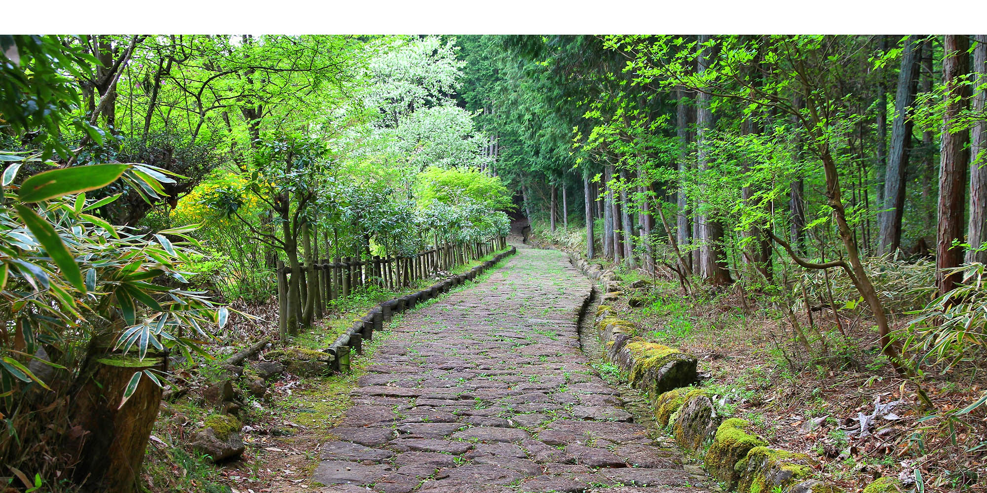 Nakasendo Trail (Magome-Tsumago) - GaijinPot Travel